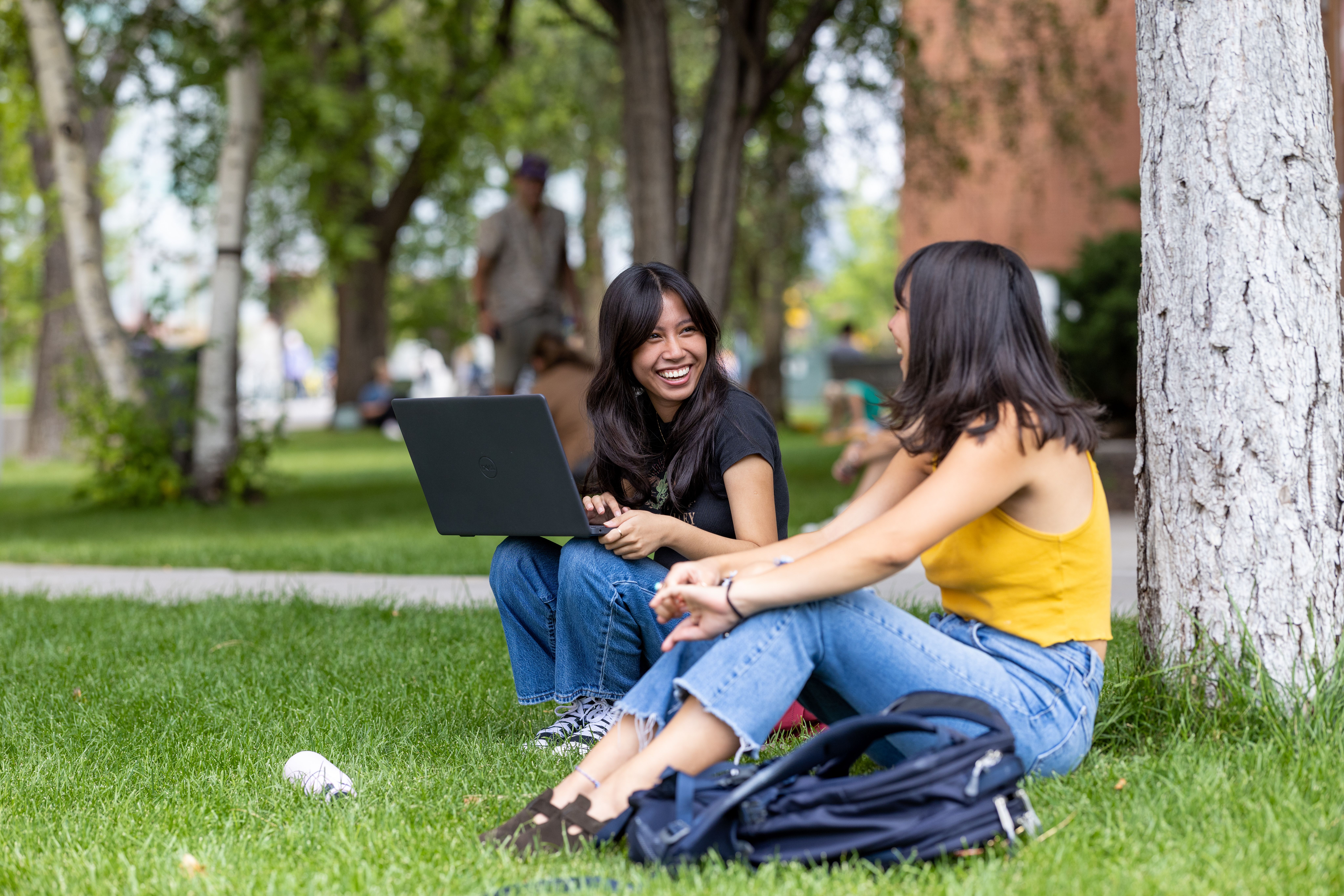 How to apply to NAU as a graduate student | NAU