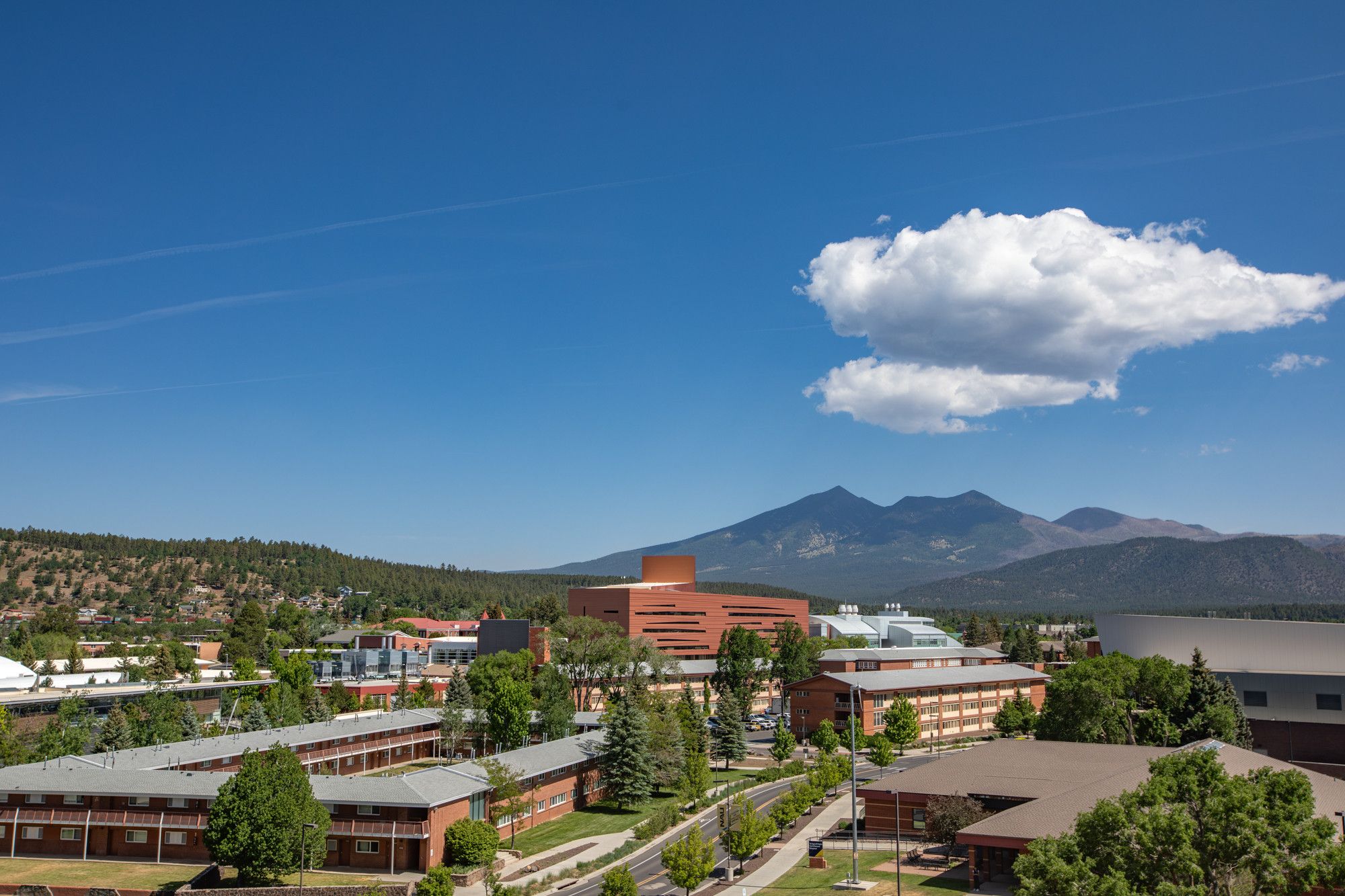 Office of the President | NAU