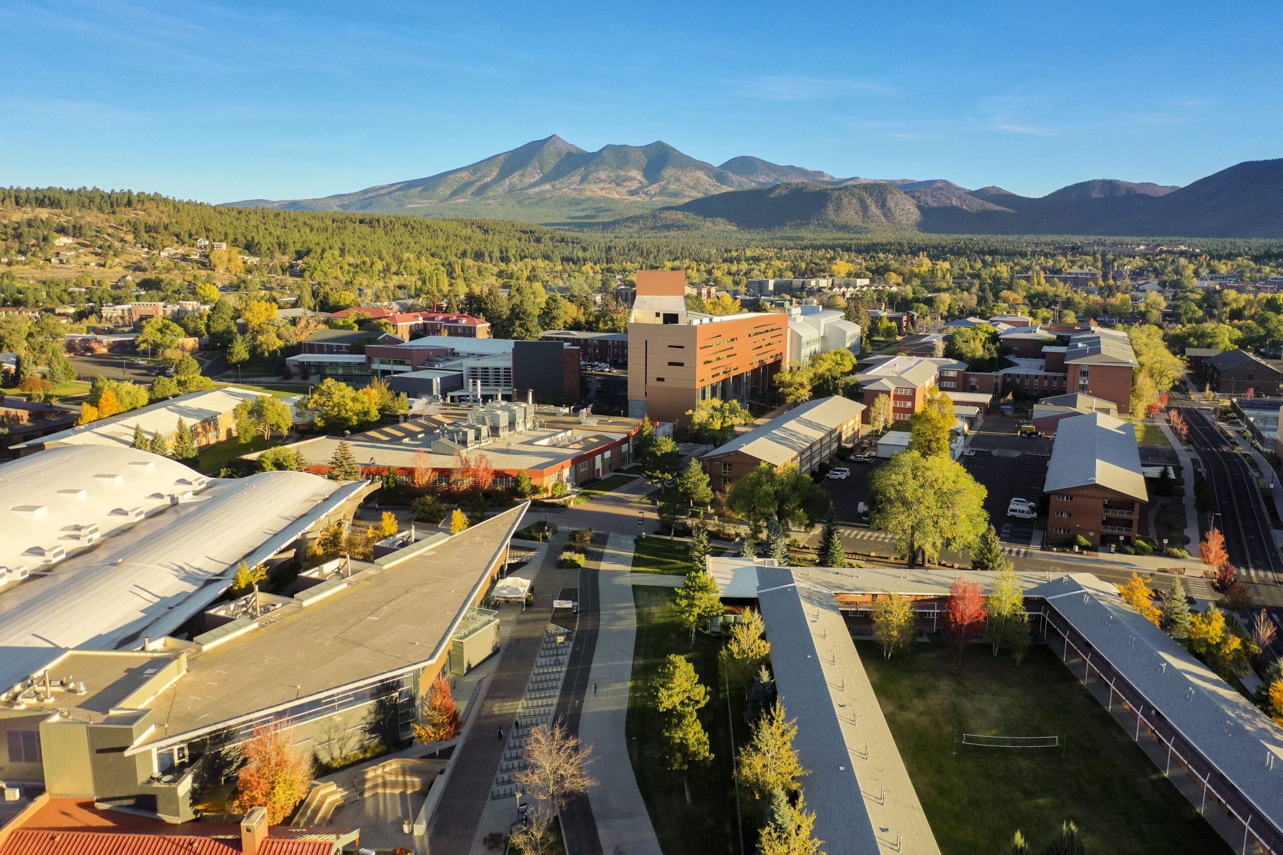 Apply now | NAU
