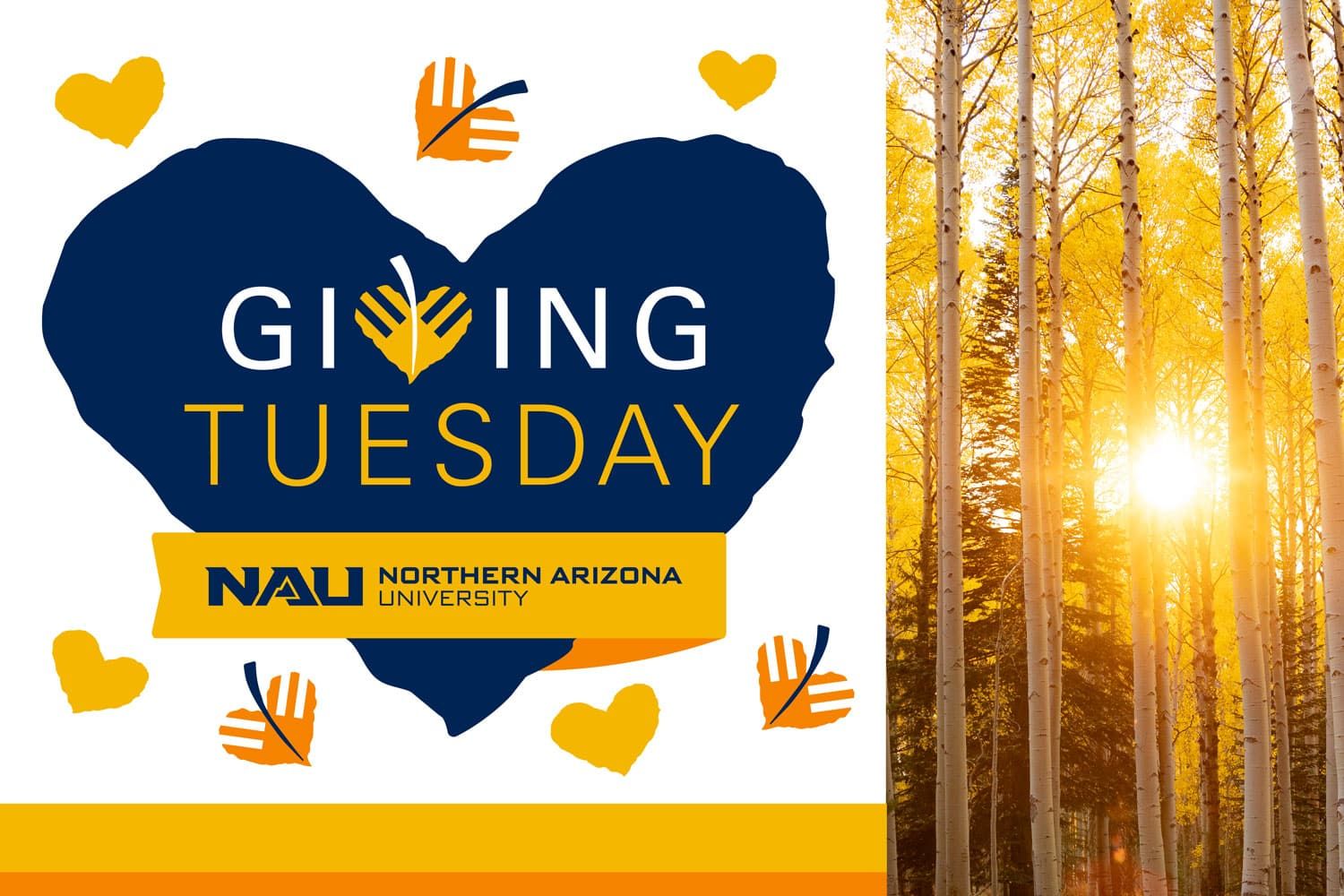 NAU | Bachelor's, Graduate, & Online Degrees