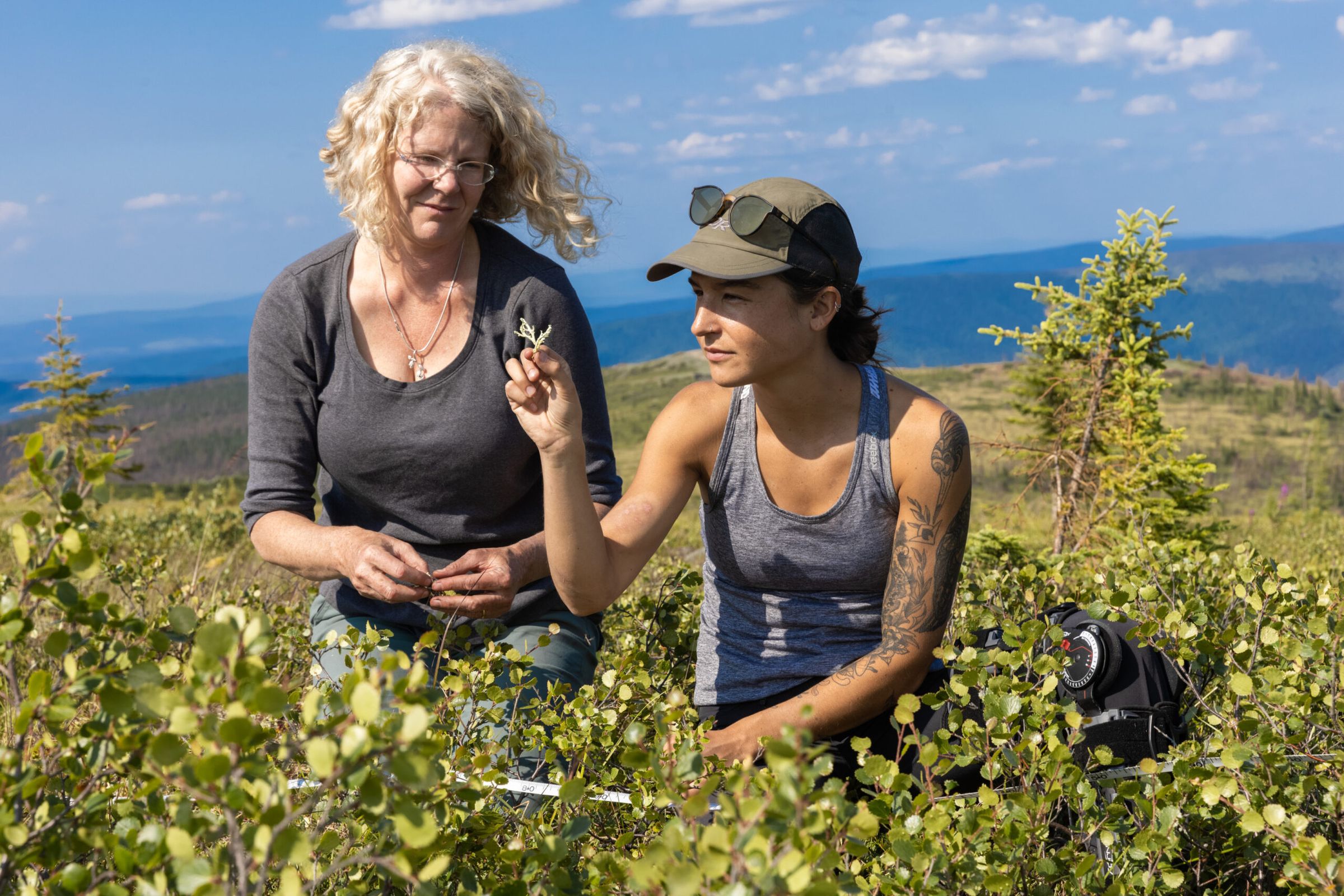 College of the Environment, Forestry, and Natural Sciences | Grow at NAU